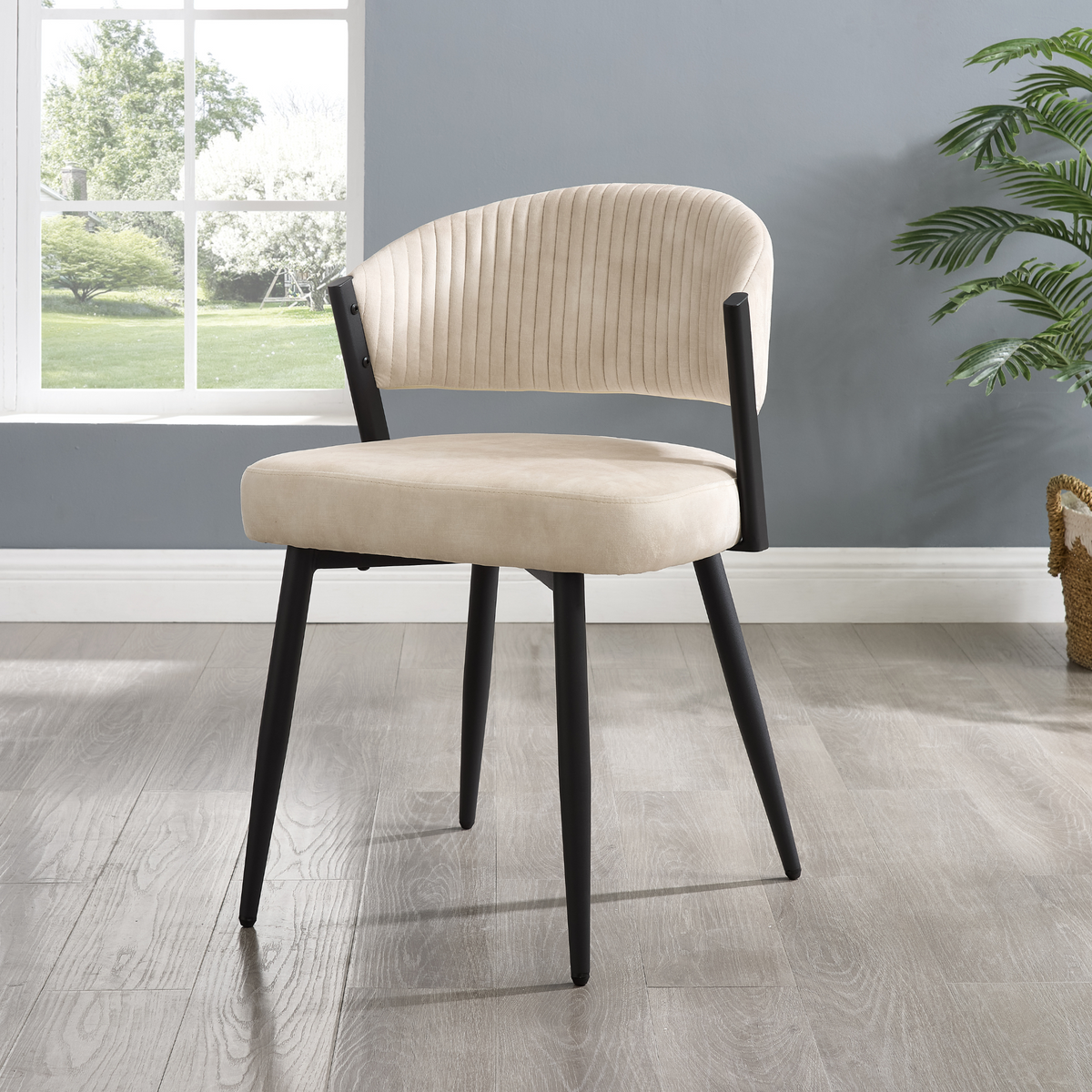 Maria Cream Curved Velvet Dining Chair With Black Metal Frame – Modish ...